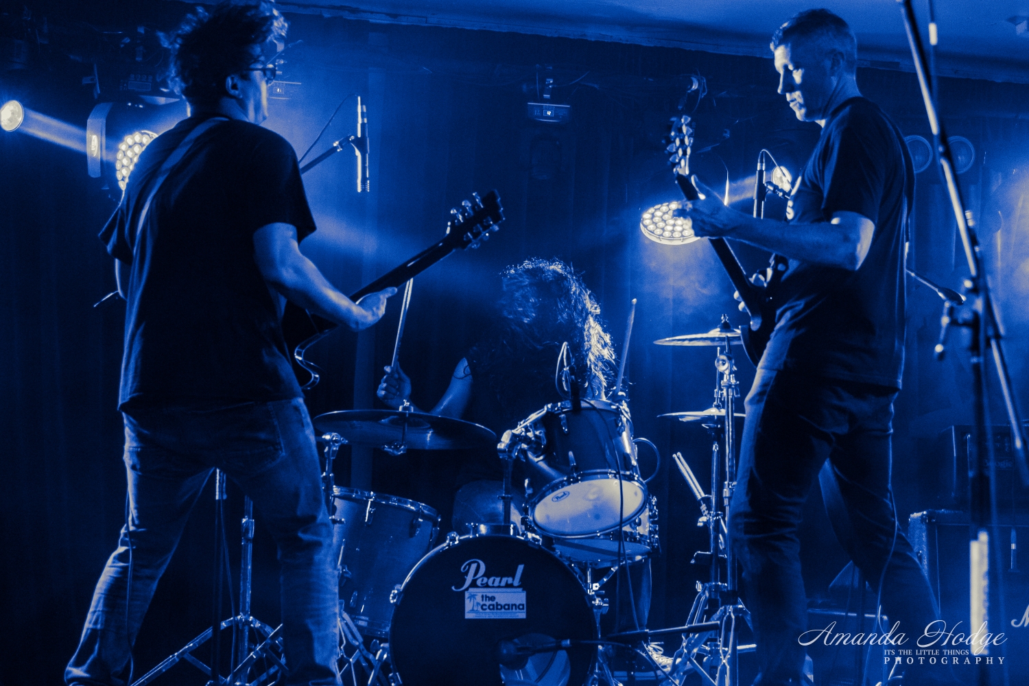 NZBands - New Zealands #1 Musician Community!